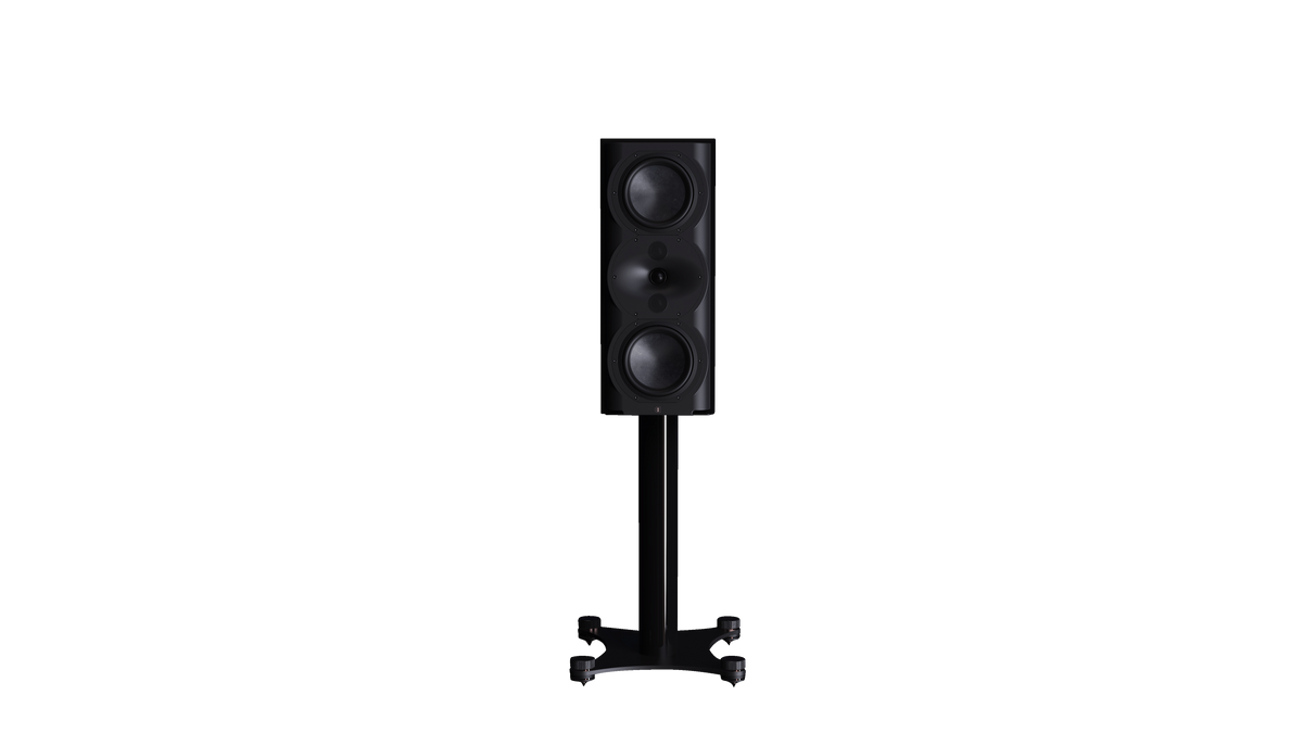Perlisten Audio R5m Monitor Speaker